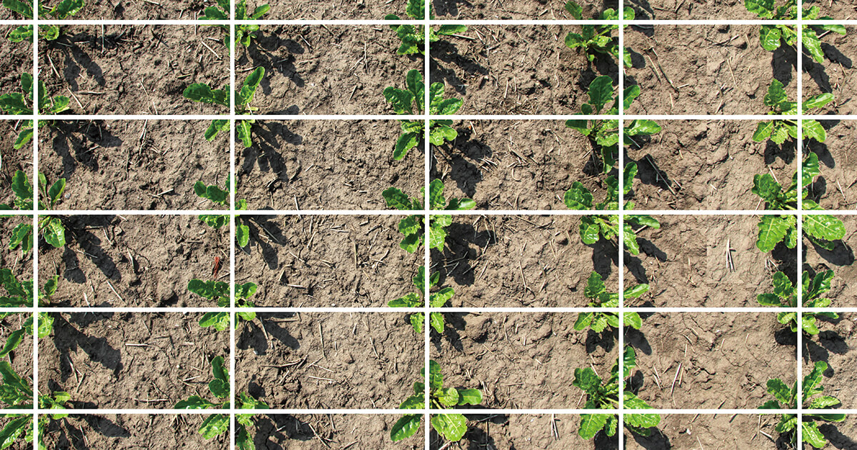 What is “Precision Farming”? | The Quest for Precision Farming | Kubota ...