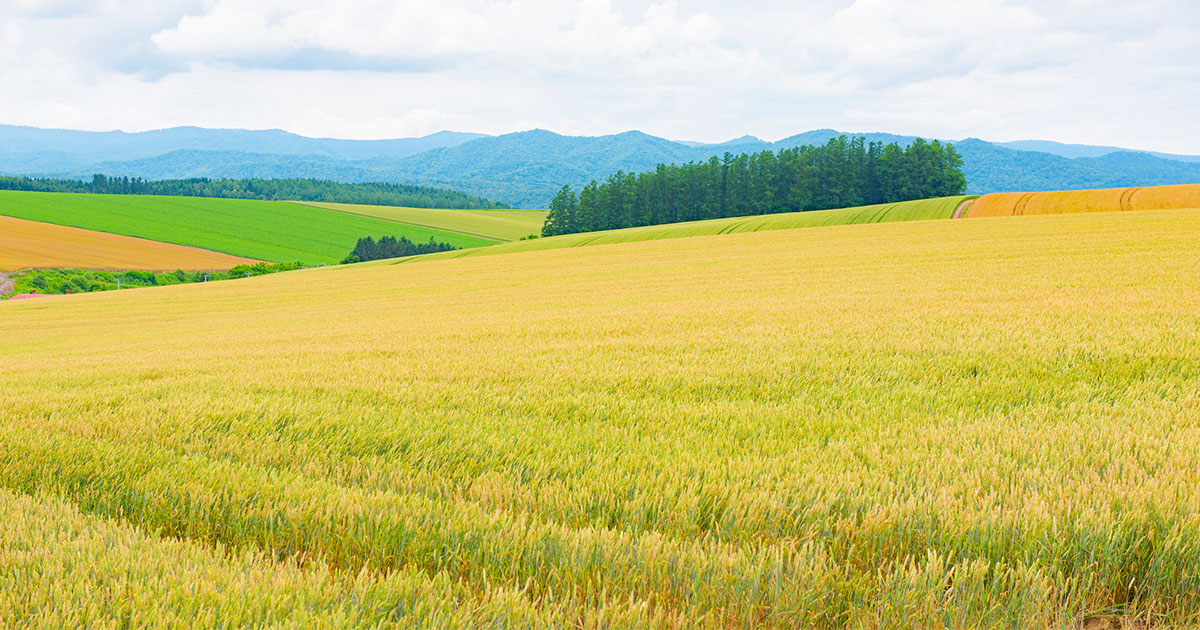 Dry-field Farming | Smart Agriculture Solution Technology | Innovation ...